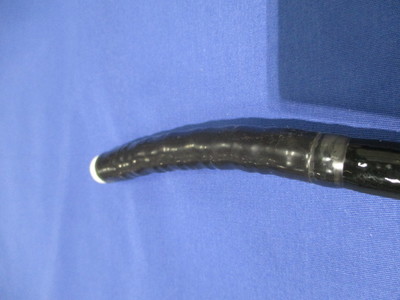 Product detail｜1063｜OLYMPUS｜Upper gastrointestinal videoscope｜GIF-2T200 ...